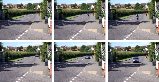 ‘Pigeon vision’ – why it’s not a thing | Science Of Being Seen