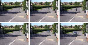 ‘Pigeon vision’ – why it’s not a thing | Science Of Being Seen